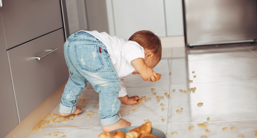 Dropped Food and the 5-Second Rule - ActiveBeat