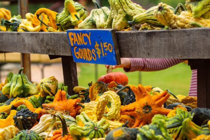 Fun Fall Activities to Get Kids Exercising - ActiveBeat