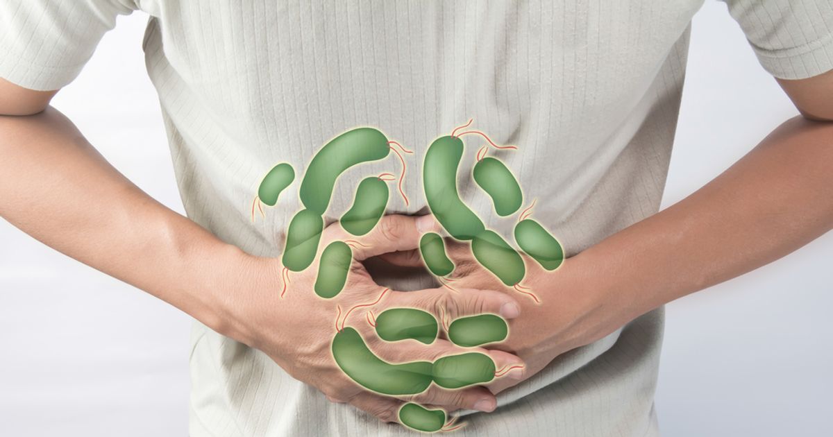 Must-Know-Before-You-Eat Food-Borne Bacteria Facts - ActiveBeat