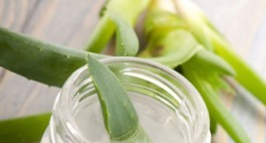 7 Things You Should Know About Aloe Water - ActiveBeat