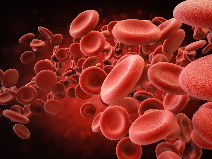 Most Common Blood Tests (And What They're Used For) - ActiveBeat