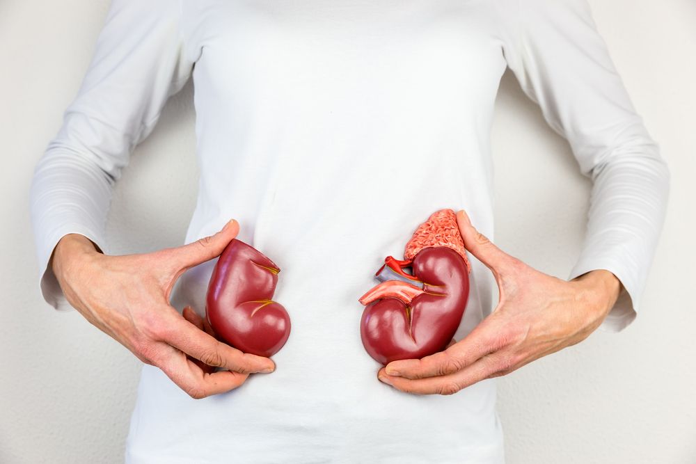 Common Complications of Polycystic Kidney Disease (PKD) - ActiveBeat