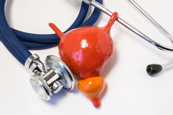 Common Causes and Risk Factors of Bladder Stones - ActiveBeat