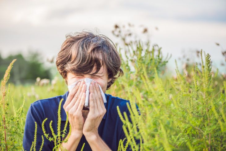 Most Common Fall Allergies and How to Soothe Them Quickly - ActiveBeat