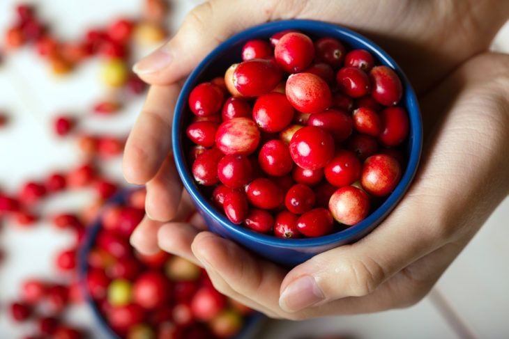 Foods That Will Keep Your Bladder Healthy - ActiveBeat