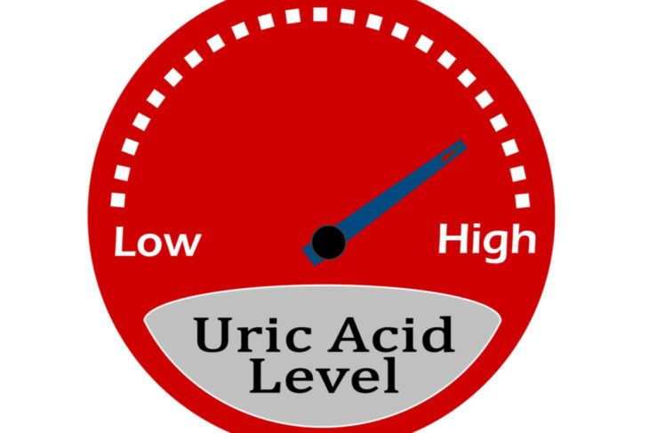 Uric Acid: What Is It and Why Should You Care About It? - ActiveBeat